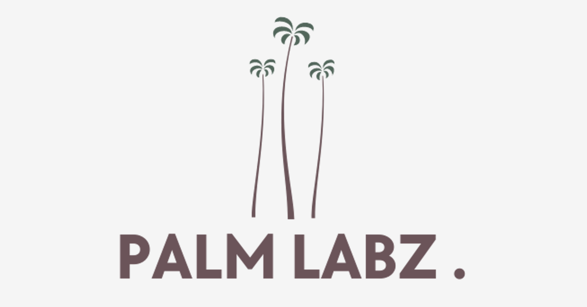 PalmLabz - L'artisanat du monde dans votre intérieur – PALM LABZ